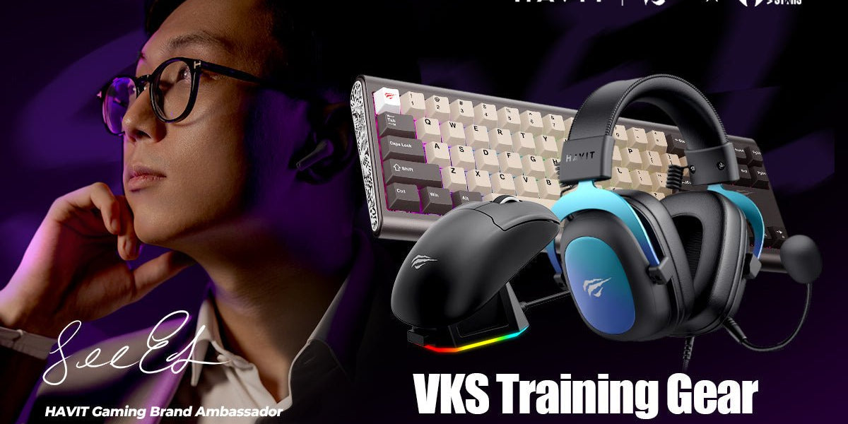 HAVIT × SeeEL: Pro Gaming Gear Boosts VKS Team's Performance — HAVIT ...